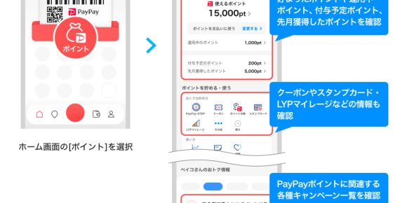 New “Points” Icon on the App Home Screen to See All Details of PayPay ...